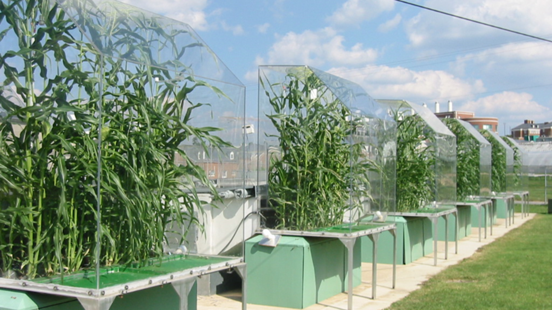 Workshop on Crop Simulation Models for Agricultural Systems ... Workshop on Crop Simulation Models for Agricultural Systems ...